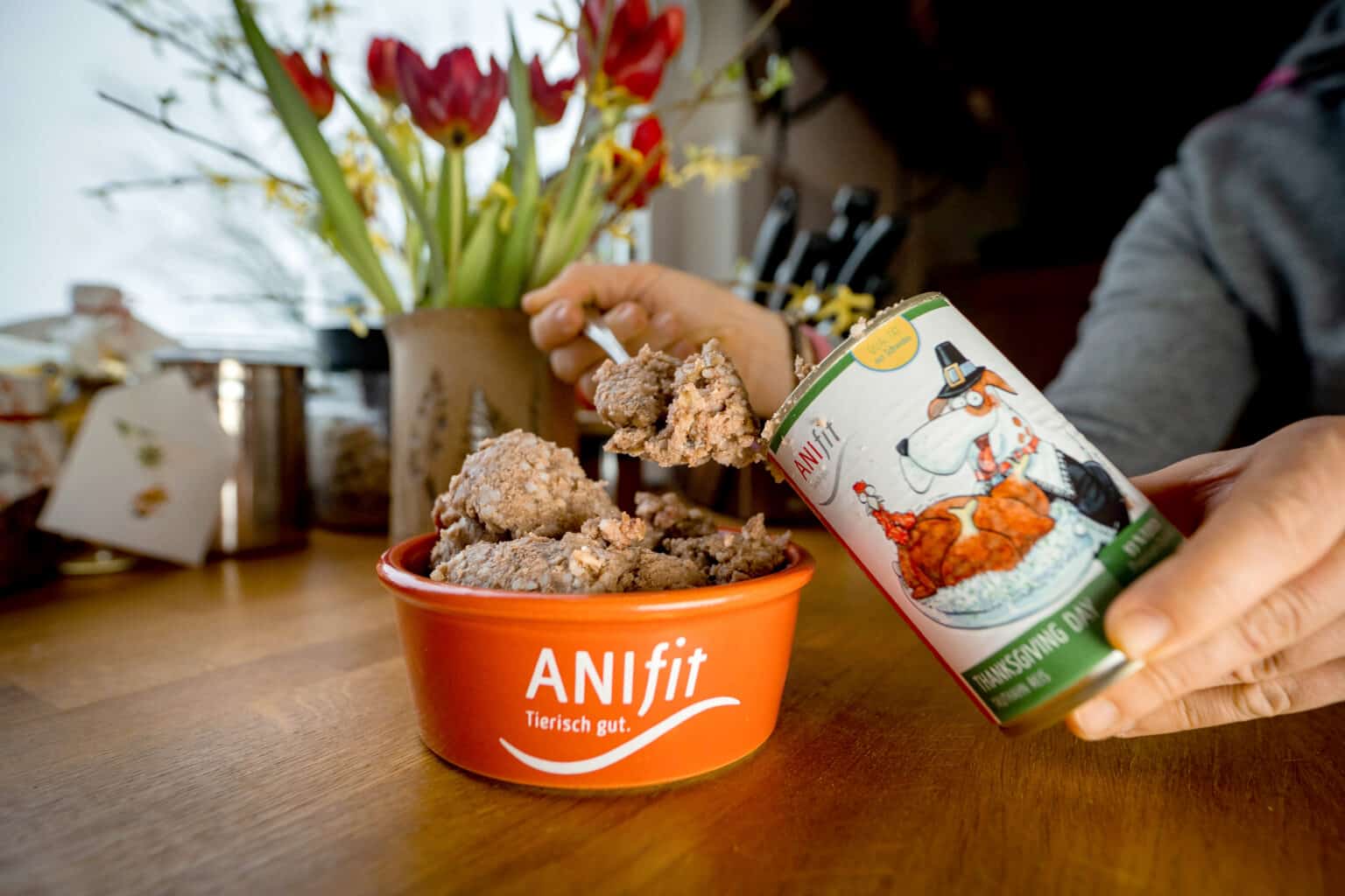 ANIfit Hundefutter Test 2025 - ist es wirklich so gut?