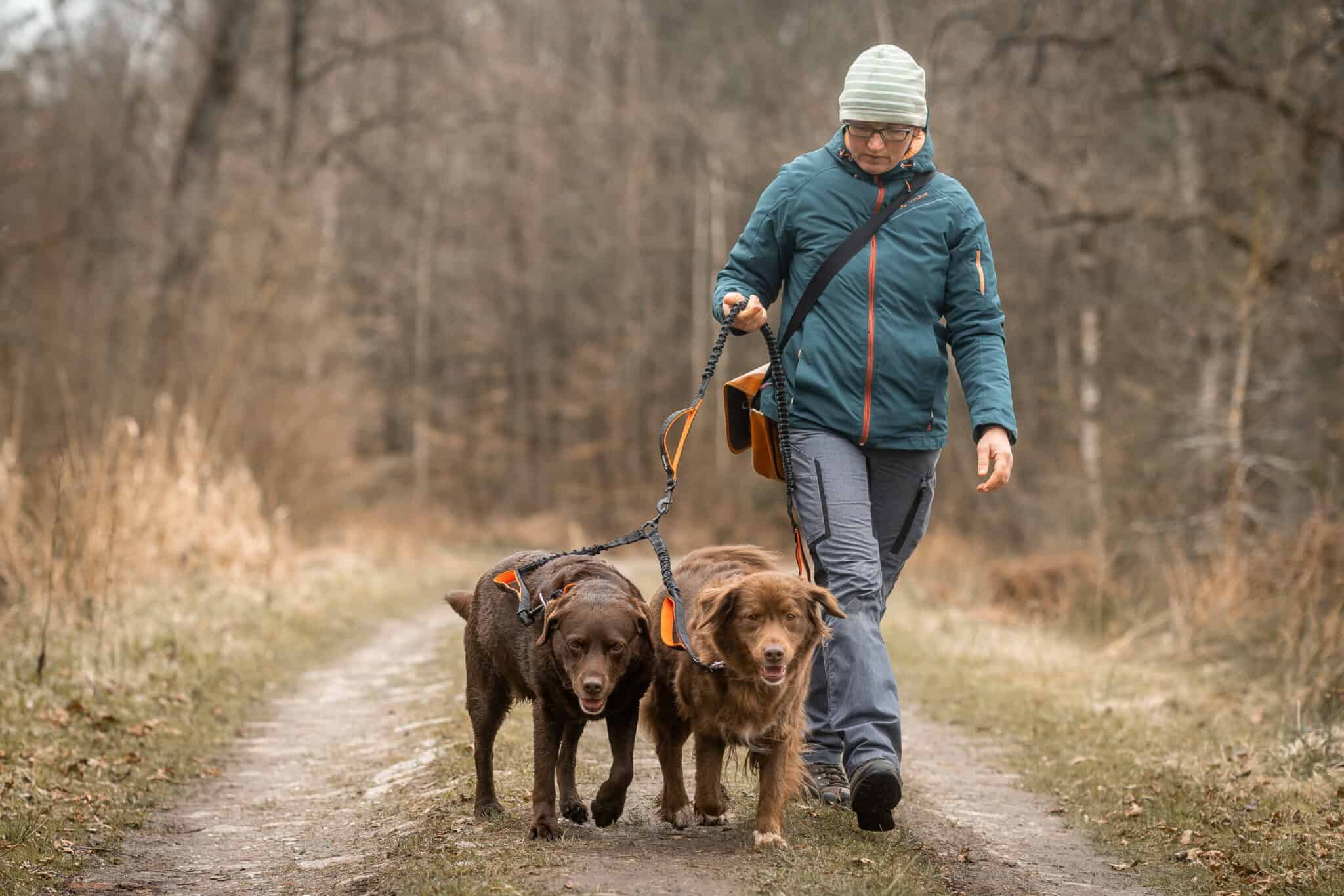 Hunde Doppelleine - die Leine zum Führen von 2 Hunden